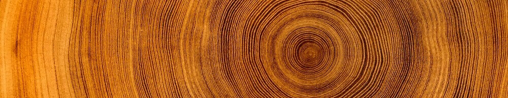 Slavíme třicetiny | Článek | Magazín | Drevo-kaplan.cz